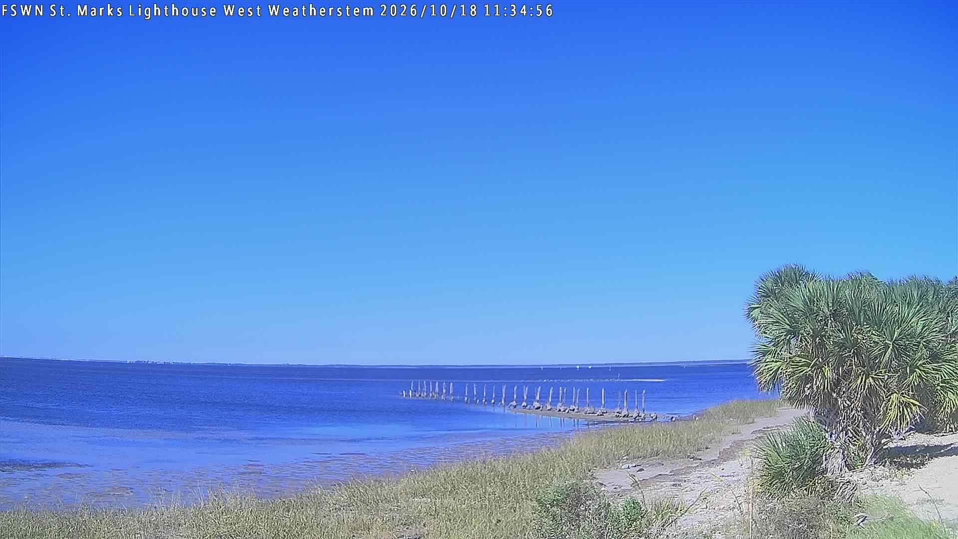 Webcams - FSWN Wakulla St. Mark's Lighthouse - St. Mark's Refuge Camera ...