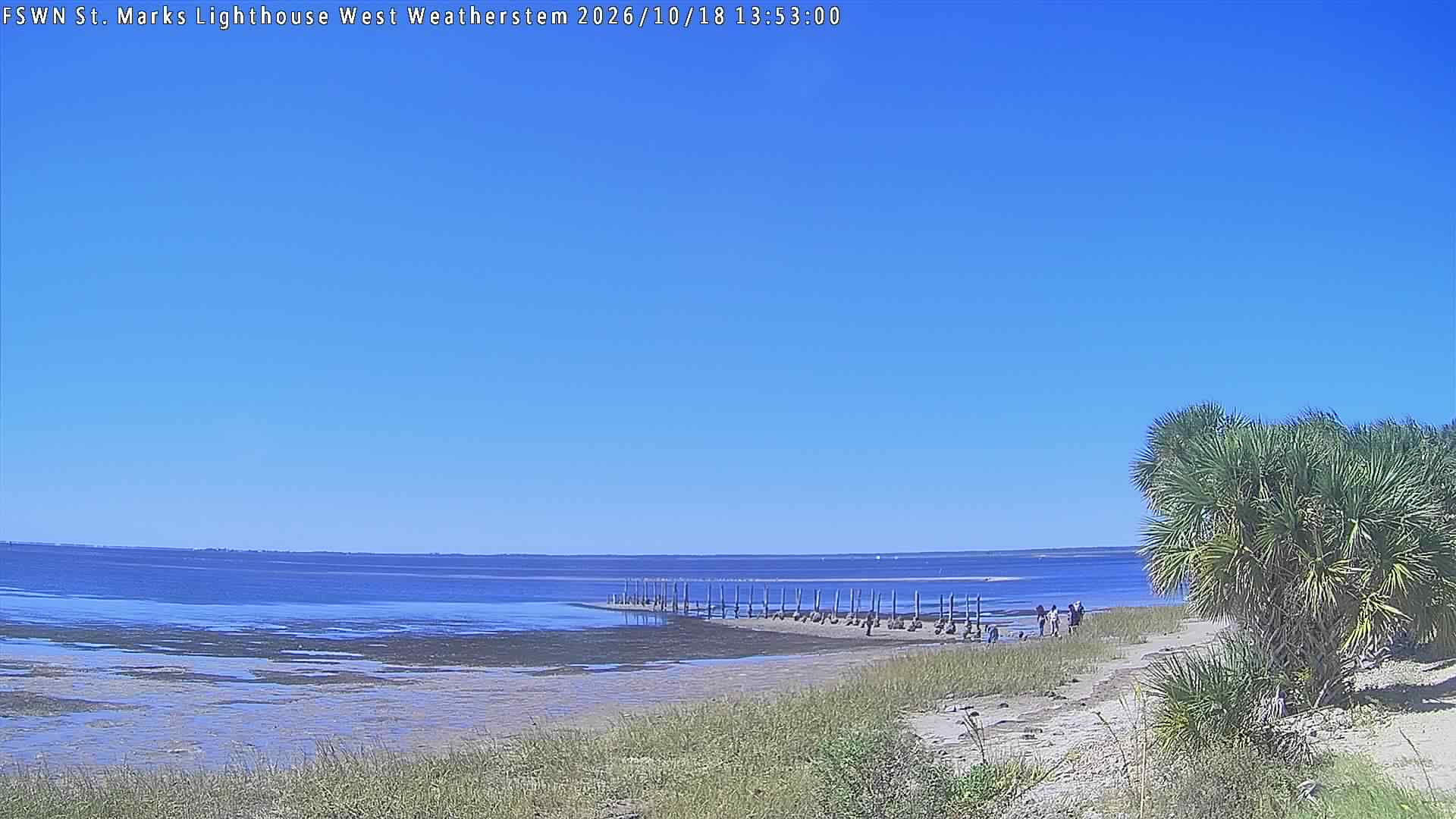 Webcams - FSWN Wakulla St. Mark's Lighthouse - St. Mark's Refuge Camera ...